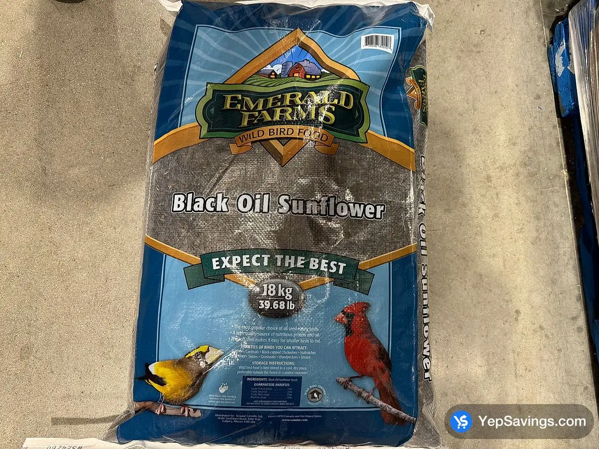 WILD BIRD SUNFLOWER SEEDS 18 kg at Costco 693 Wonderland Rd London