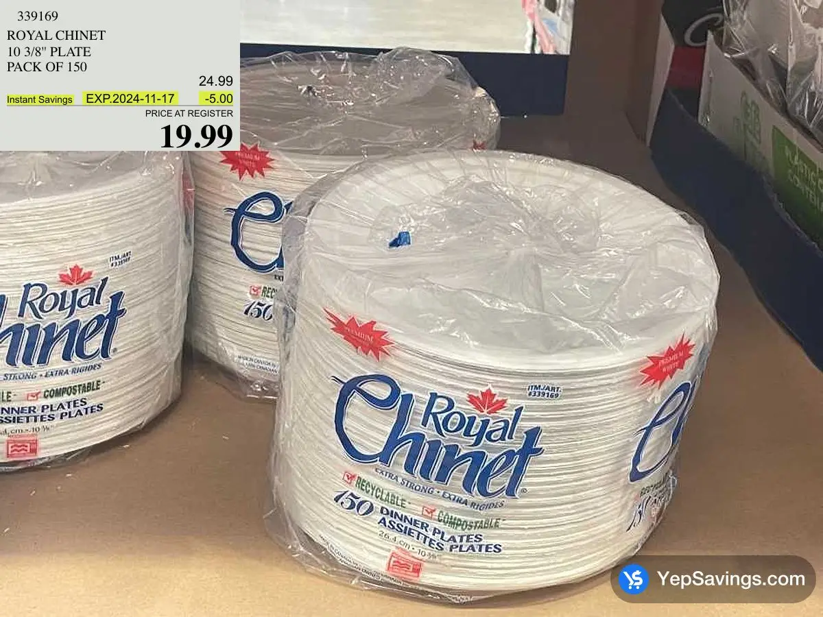 COSTCO ROYAL CHINET 10 3/8' PLATE PACK OF 150 – (ITM 339169) – Langley
