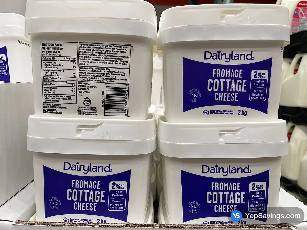 COSTCO DAIRYLAND 2 % COTTAGE CHEESE 2KG – (ITM 1919328) – Saskatoon