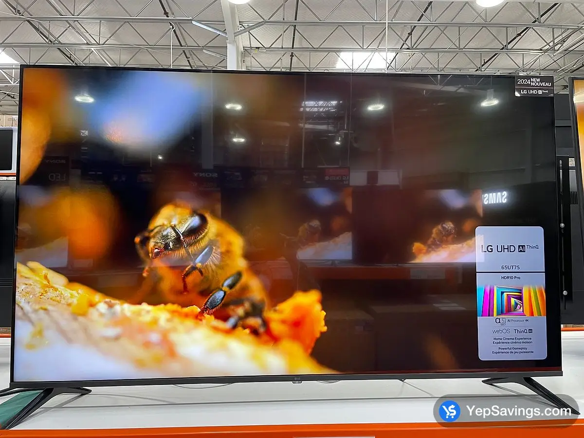 LG 65UT7570 65 " CLASS ( 64.5 " DIAG ) 4K UHD LED LCD TV – Costco deal ...