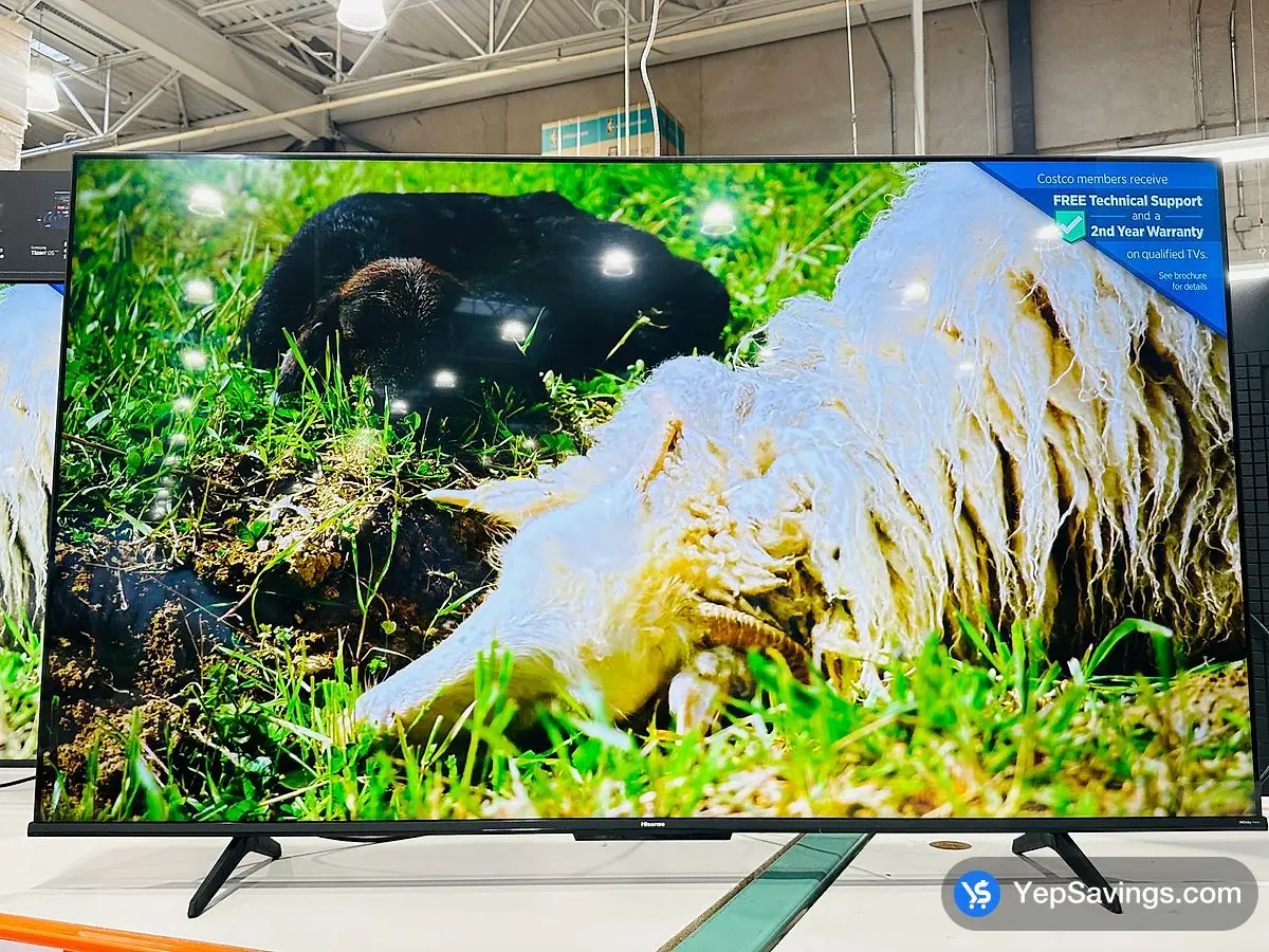 HISENSE 65QD7N 65 " CLASS ( 64.5 " DIAG ) 4K QLED LCD TV – Costco deal ...